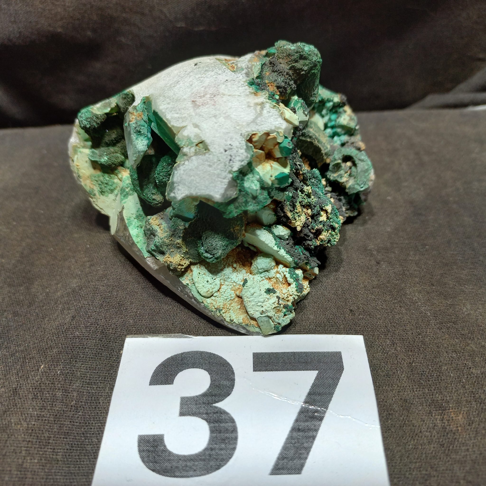 Piece 37 Extremely Rare Malachite/Chrysocolla Pseudomorph From Messina ...